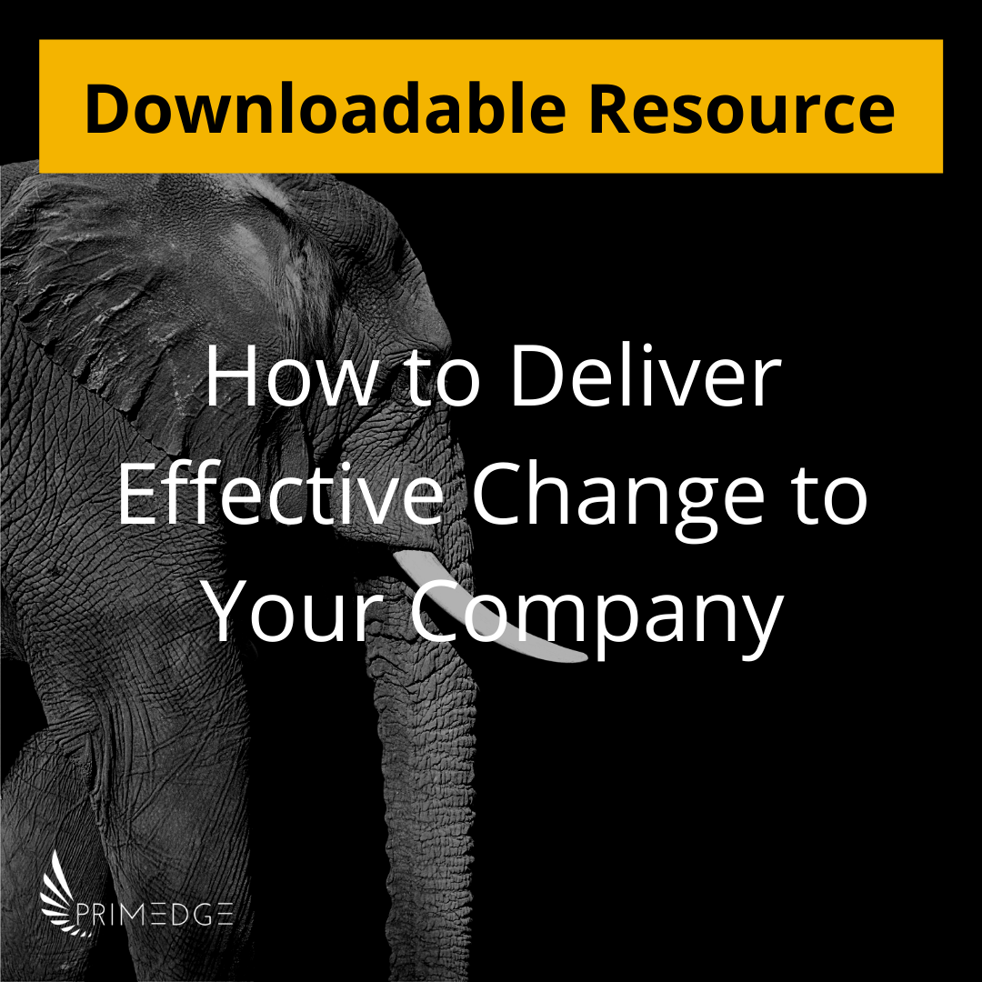 How to Deliver Effective Change to Your Company - Primedge insights